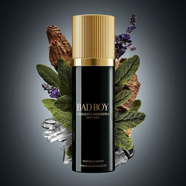 Carolina Herrera Bad Boy Eau de Toilette (Power Up Spray) 100 ml for M ...